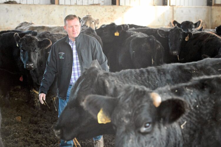 All in the family — Nagle takes over as VP of state Farm Bureau | News ...